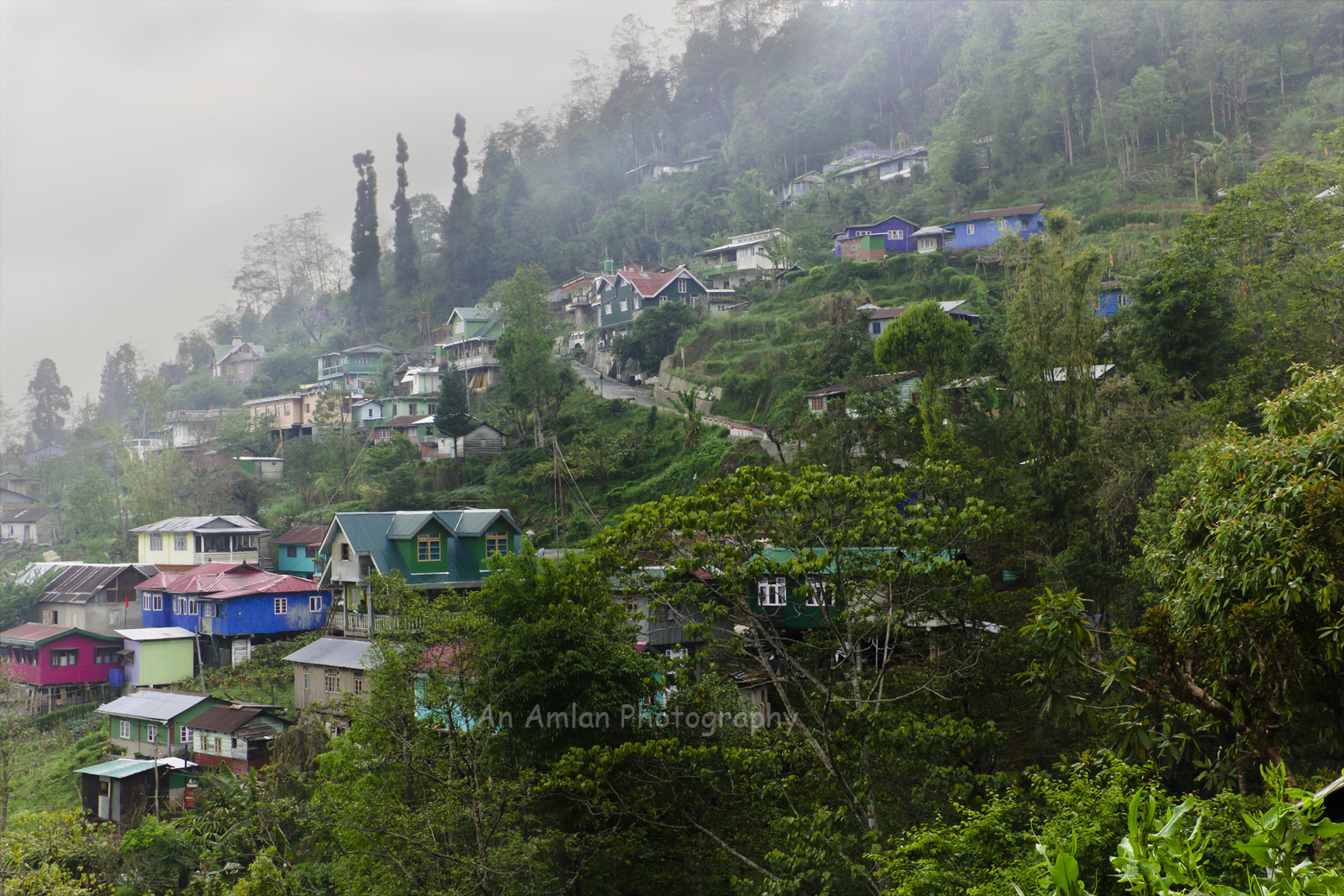 A week end at Rangaroon Tea Estate – The Tramp